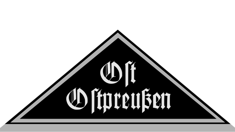 Symbole und Erkennungszeichen: Die Odal-Rune - Belltower.News