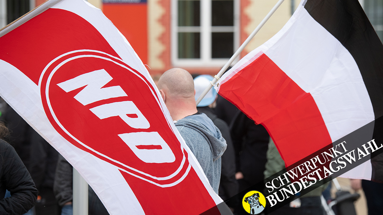 Bundestagswahl: NPD – die Neonazis von gestern - Belltower.News