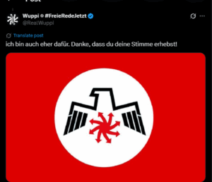 Patrick Kolek: AfD-Funktionär, Kampagnen-Organisator und Mobber