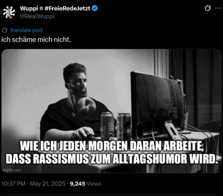 Patrick Kolek: AfD-Funktionär, Kampagnen-Organisator und Mobber